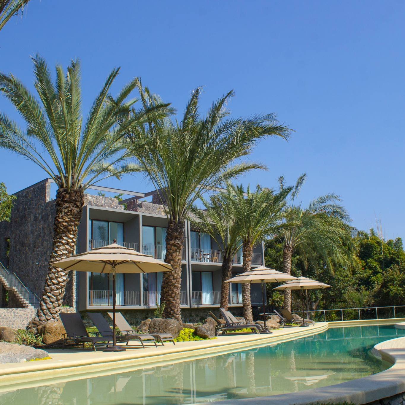 PIXCA: Jardines para Eventos y Banquetes: ¡Cotiza tu Evento!